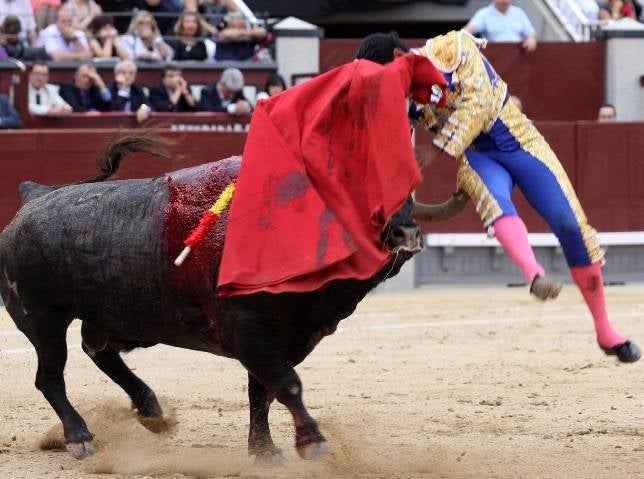 Herido Ignacio Garibay