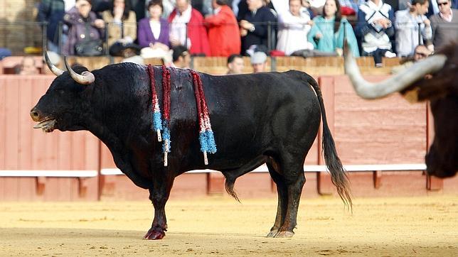 «Arrojado» a la vida