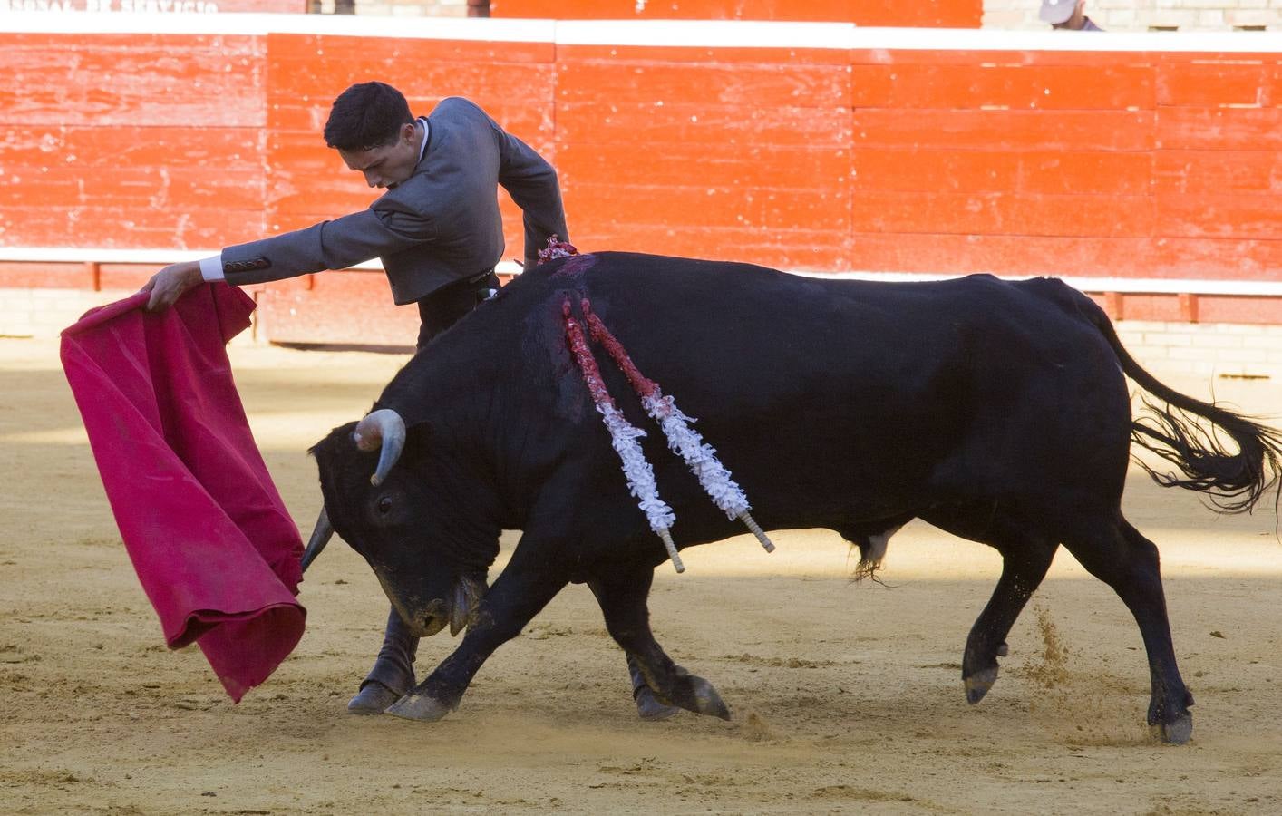 Clase práctica de toreo en la Plaza de La Merced de Huelva
