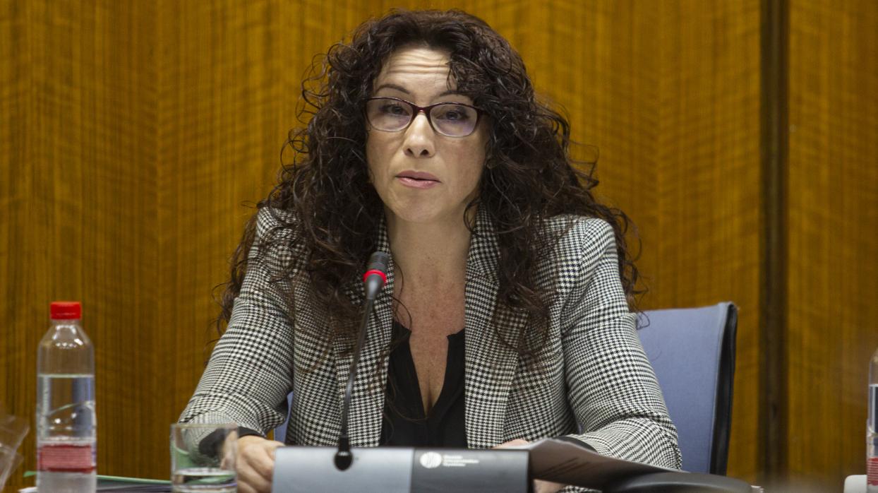 La consejera de Igualdad promete un plan de choque en Andalucía para la ...