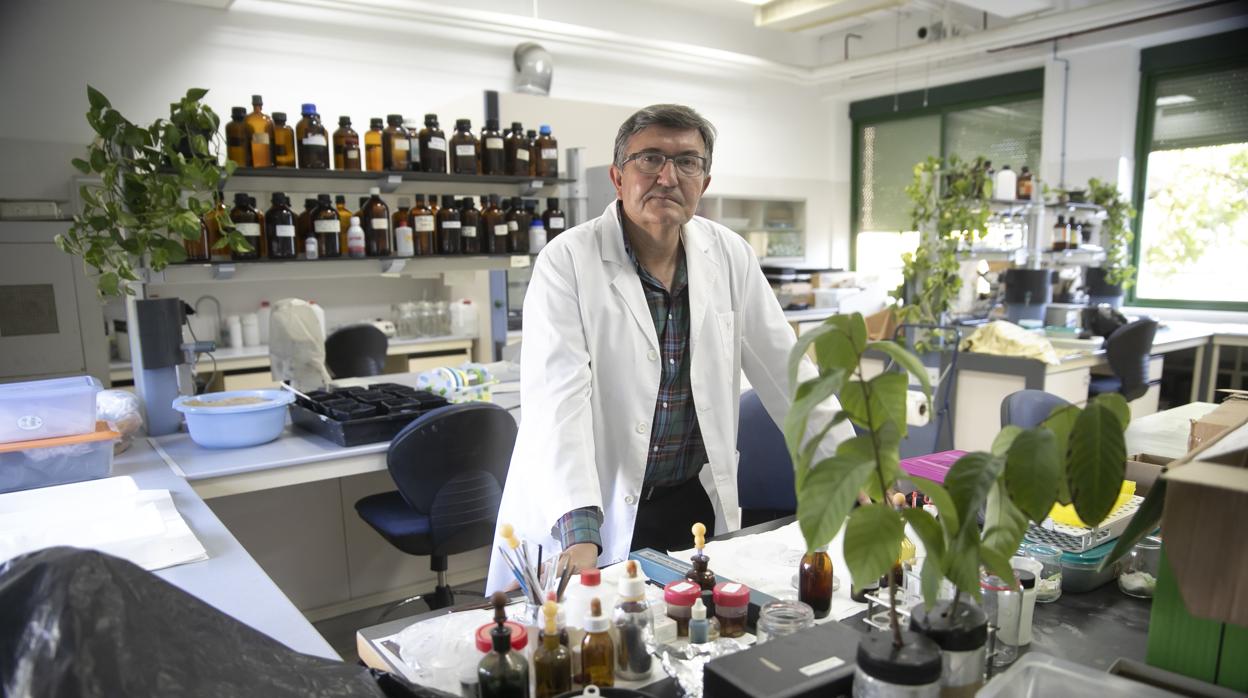 Investigadores de la Universidad de Córdoba: Francisco Javier Romera ...