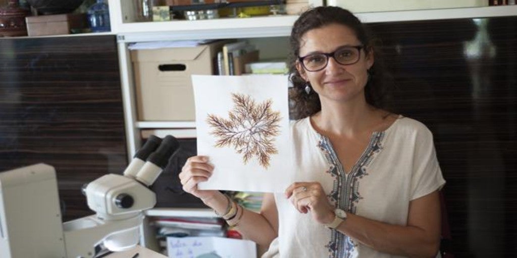 María Altamirano: «En los fondos marinos donde el alga asiática está ...