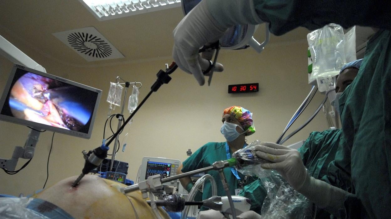 Solo una de cada cuatro personas en riesgo participa en el plan de ...