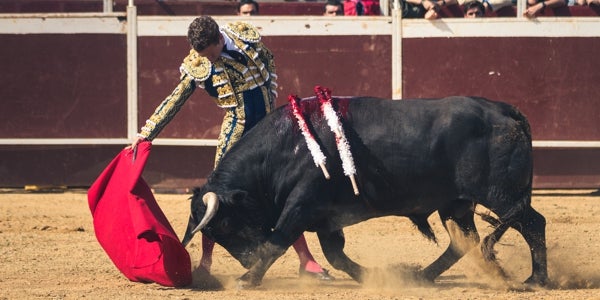 Calerito se muestra rotundo en el prólogo de su alternativa y triunfa ...