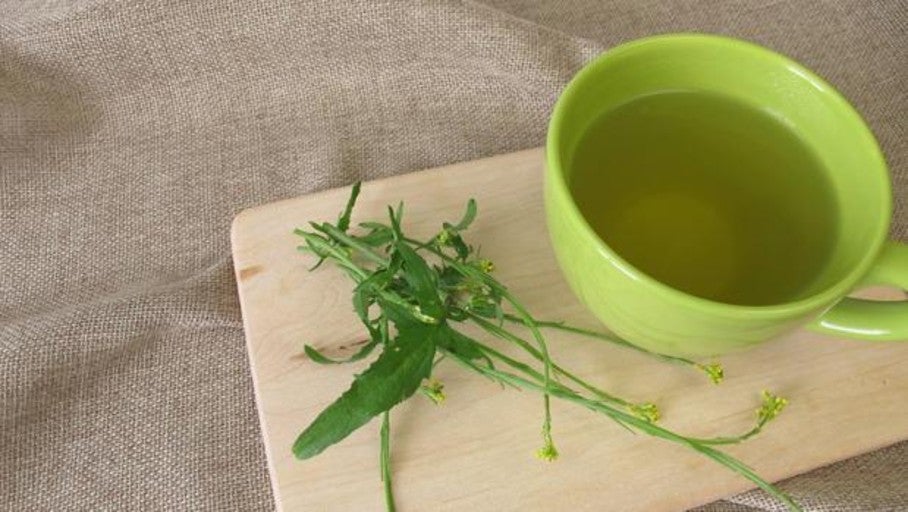 Erísimo, la planta que los cantores usan para aliviar la tos