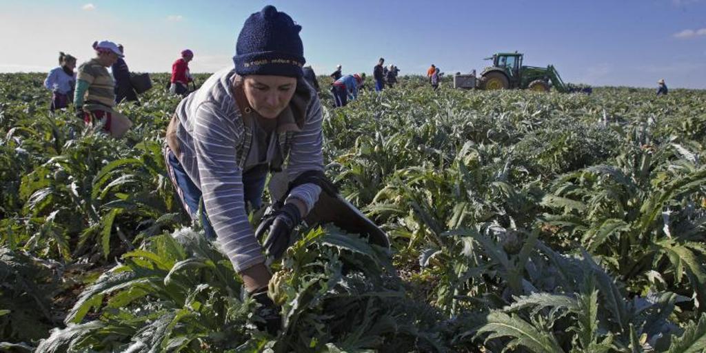 Sánchez Gordillo inicia los trámites administrativos para quedarse ...