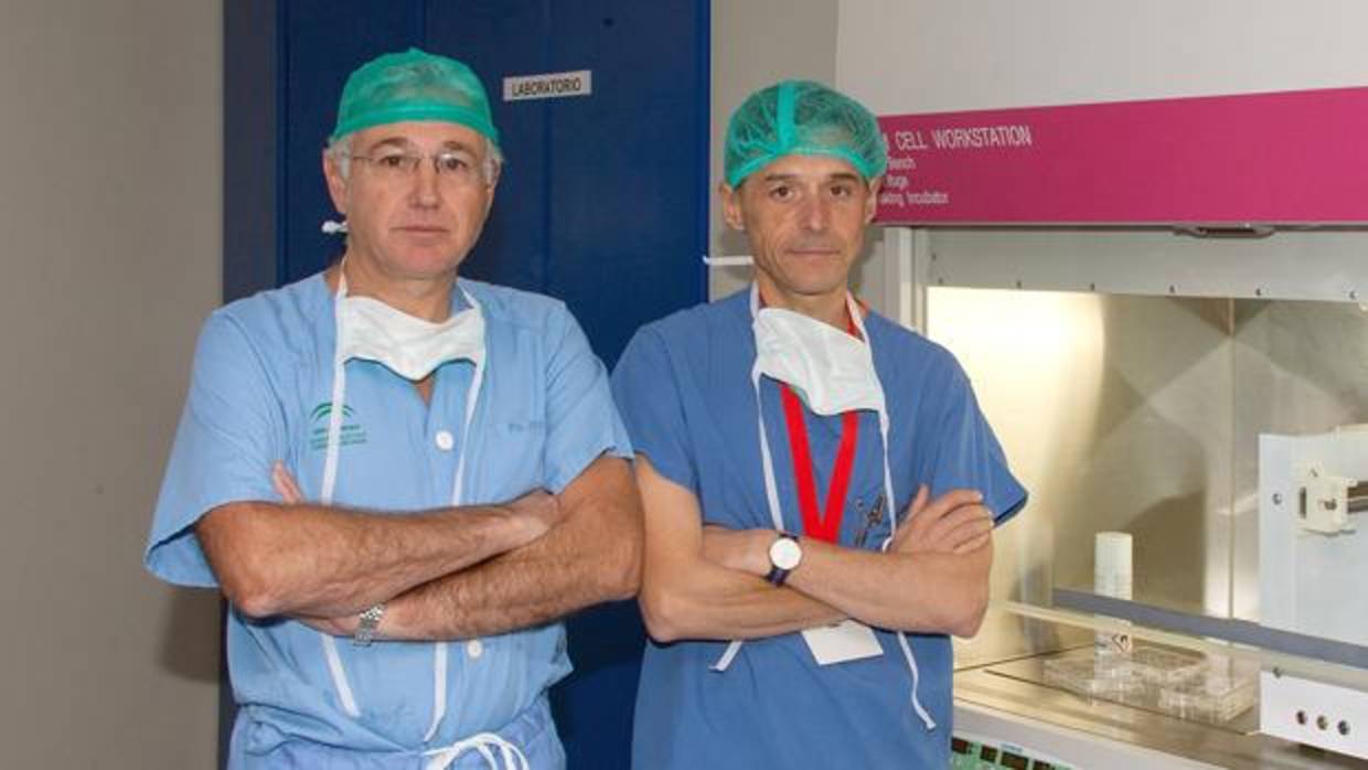 Corrientes eléctricas contra la incontinencia fecal