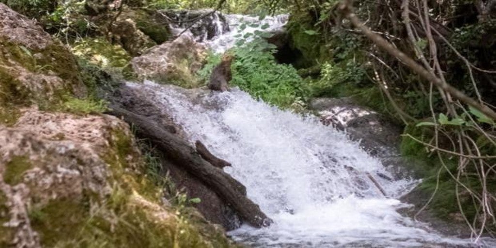 Las playas naturales de Sevilla