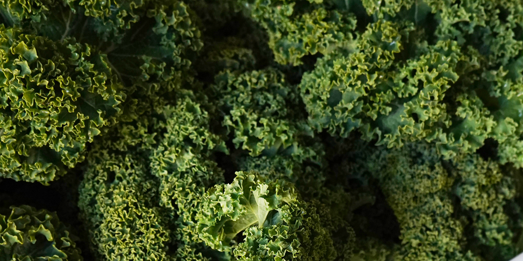 Kale or kale, the vegetable with more calcium than milk that you can ...