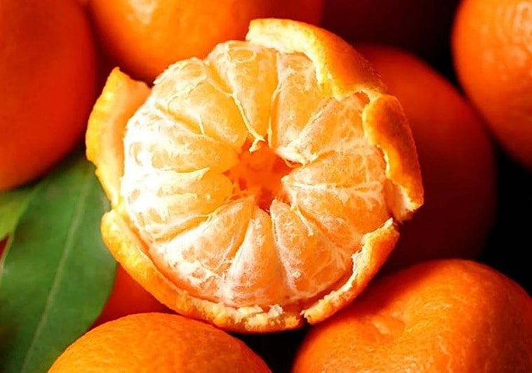 Qué pasa en nuestro cuerpo si comemos mandarinas todos los días y cómo ...