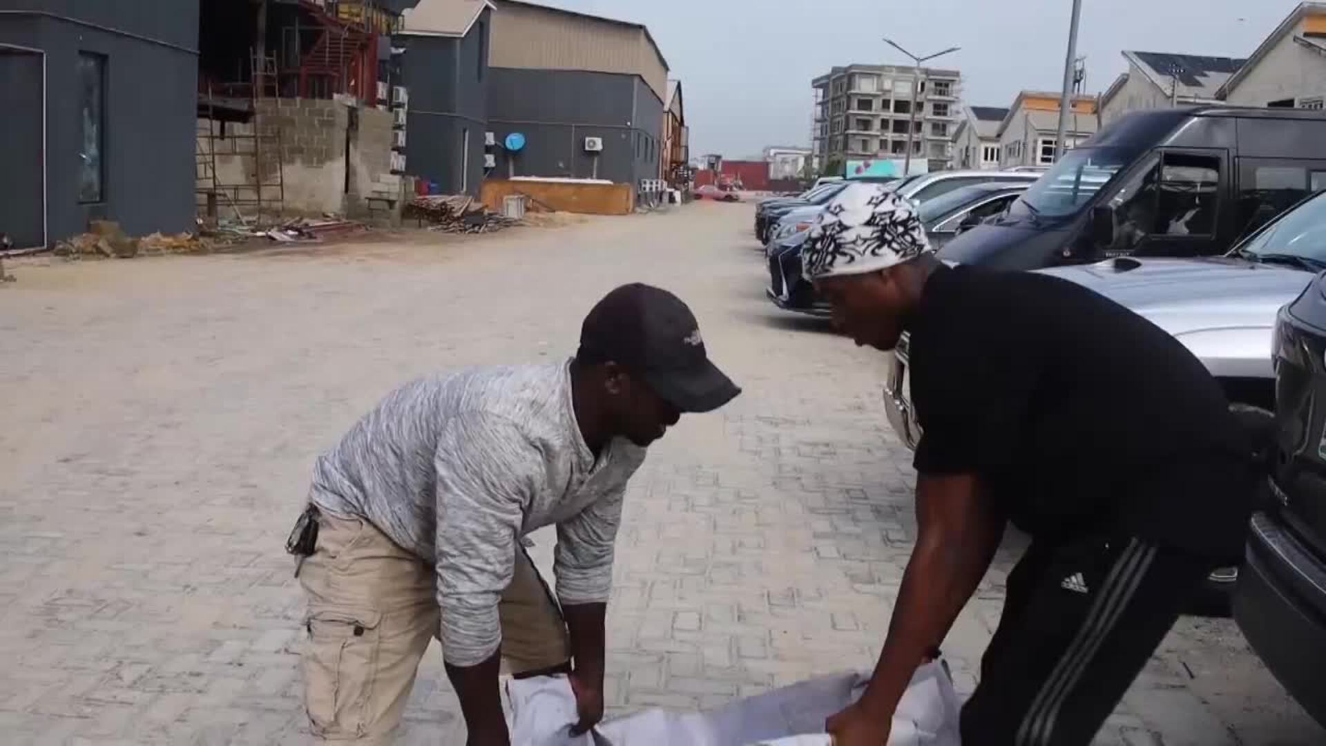 Liberan una tortuga marina rescatada en Nigeria con motivo del Día ...