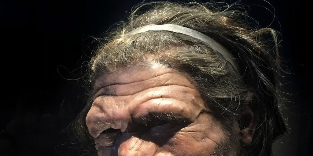 Investigadores españoles confirman que los neandertales sufrieron un ...