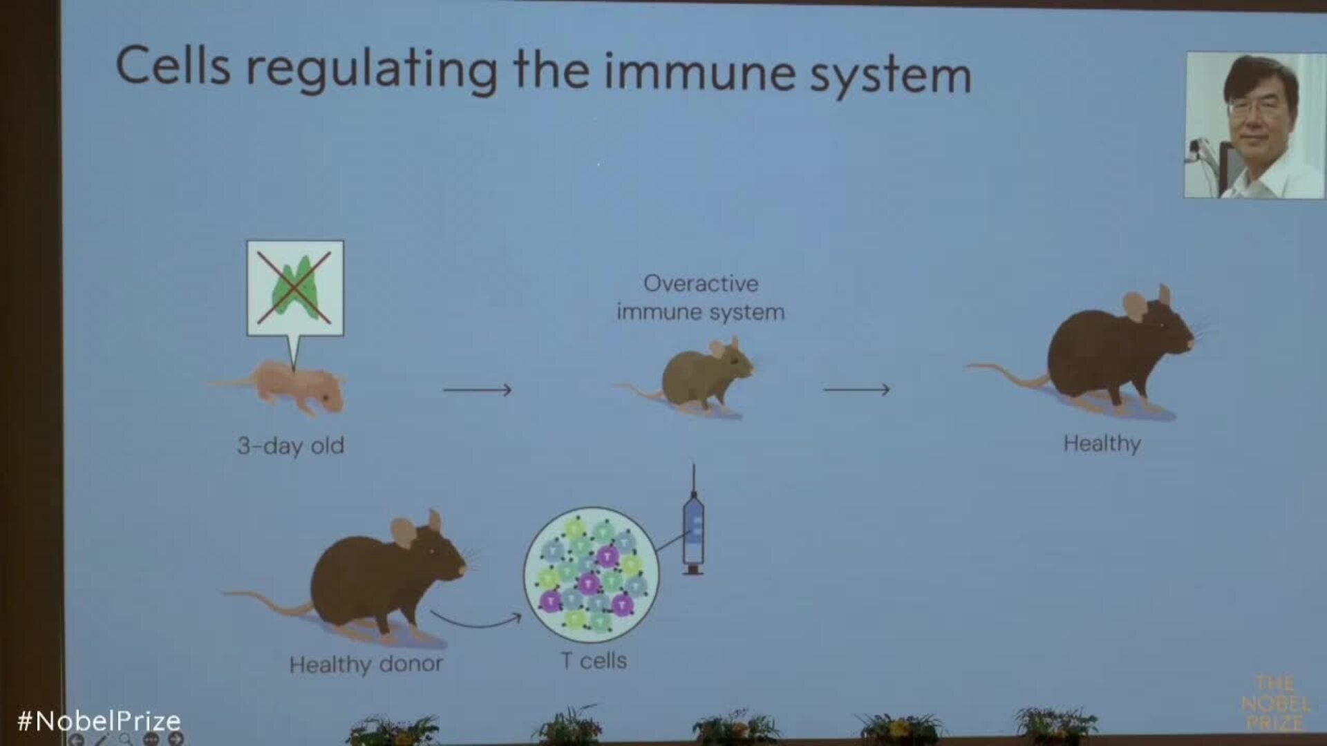 Nobel de Medicina para Brunkow, Ramsdell y Sakaguchi por la tolerancia ...