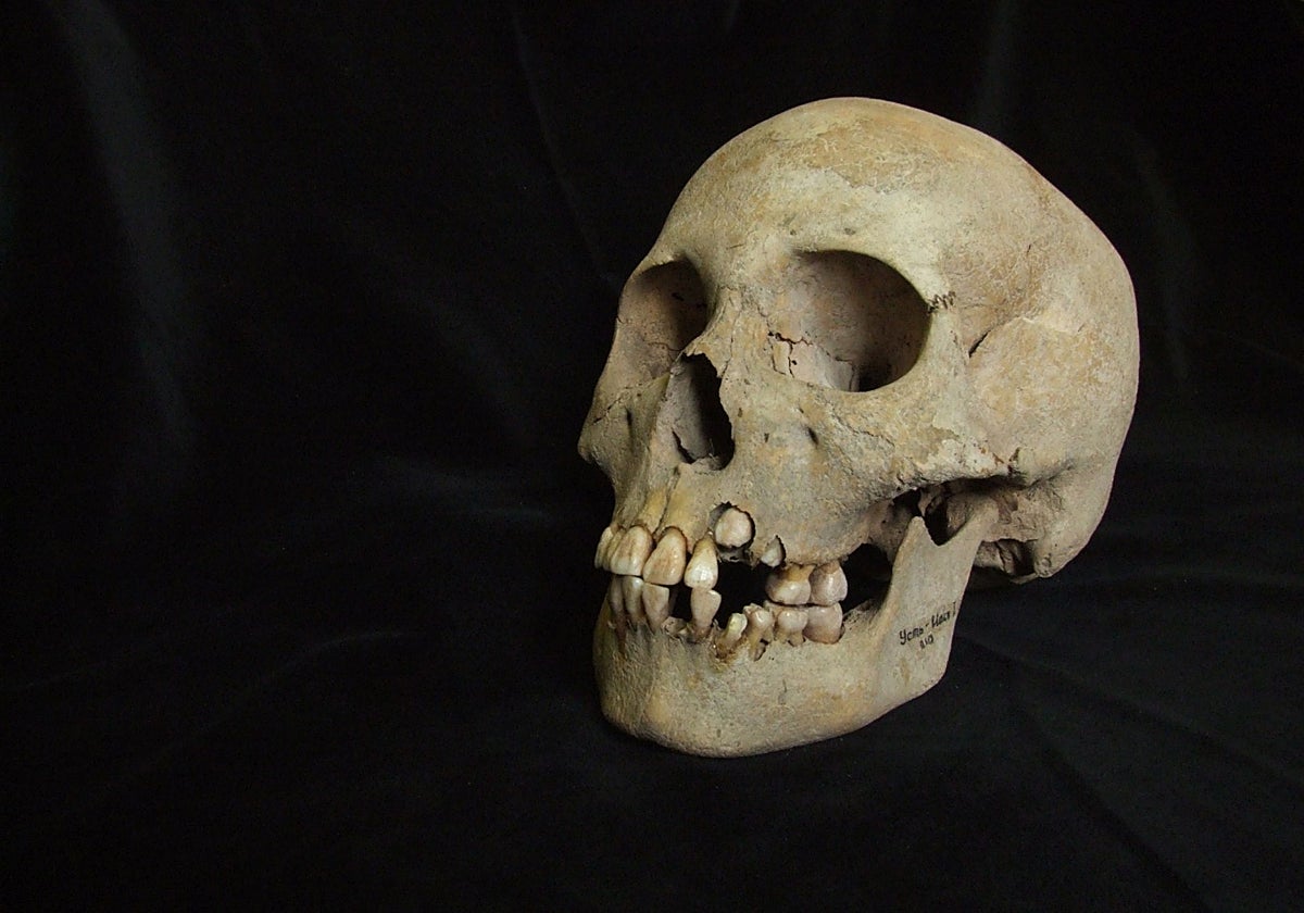 La peste negra ya era letal y aniquilaba a familias enteras hace 5.500 años
