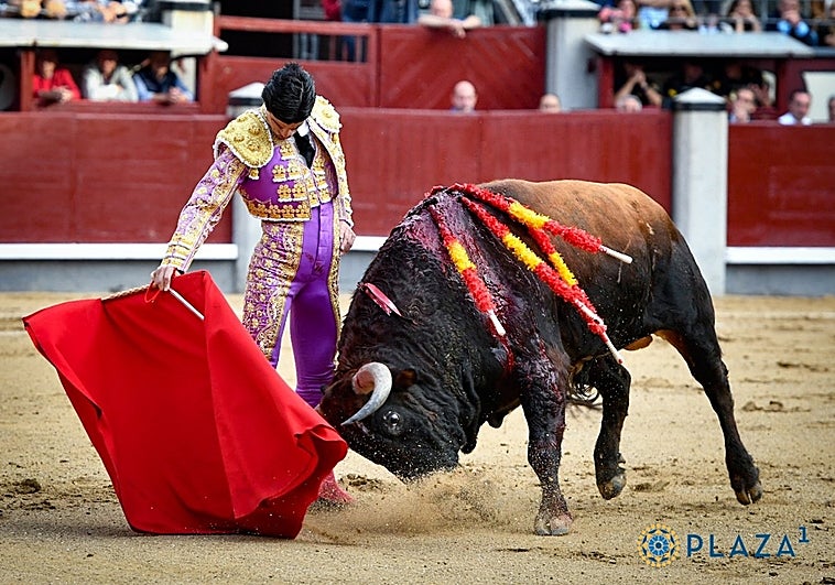 Pablo Aguado: «Poder torear un toro con el capote en Madrid, y poder ...