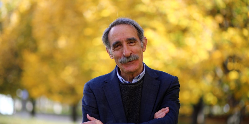 CrÍTICA DE:: 'La mujer que amaba a las abejas', de José Luis Martín ...