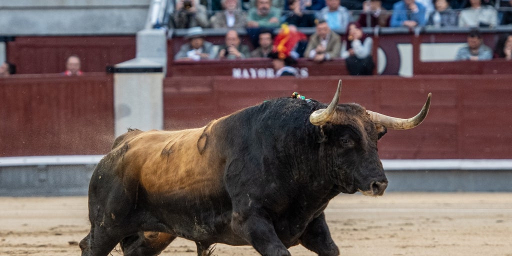 En la muerte del toro