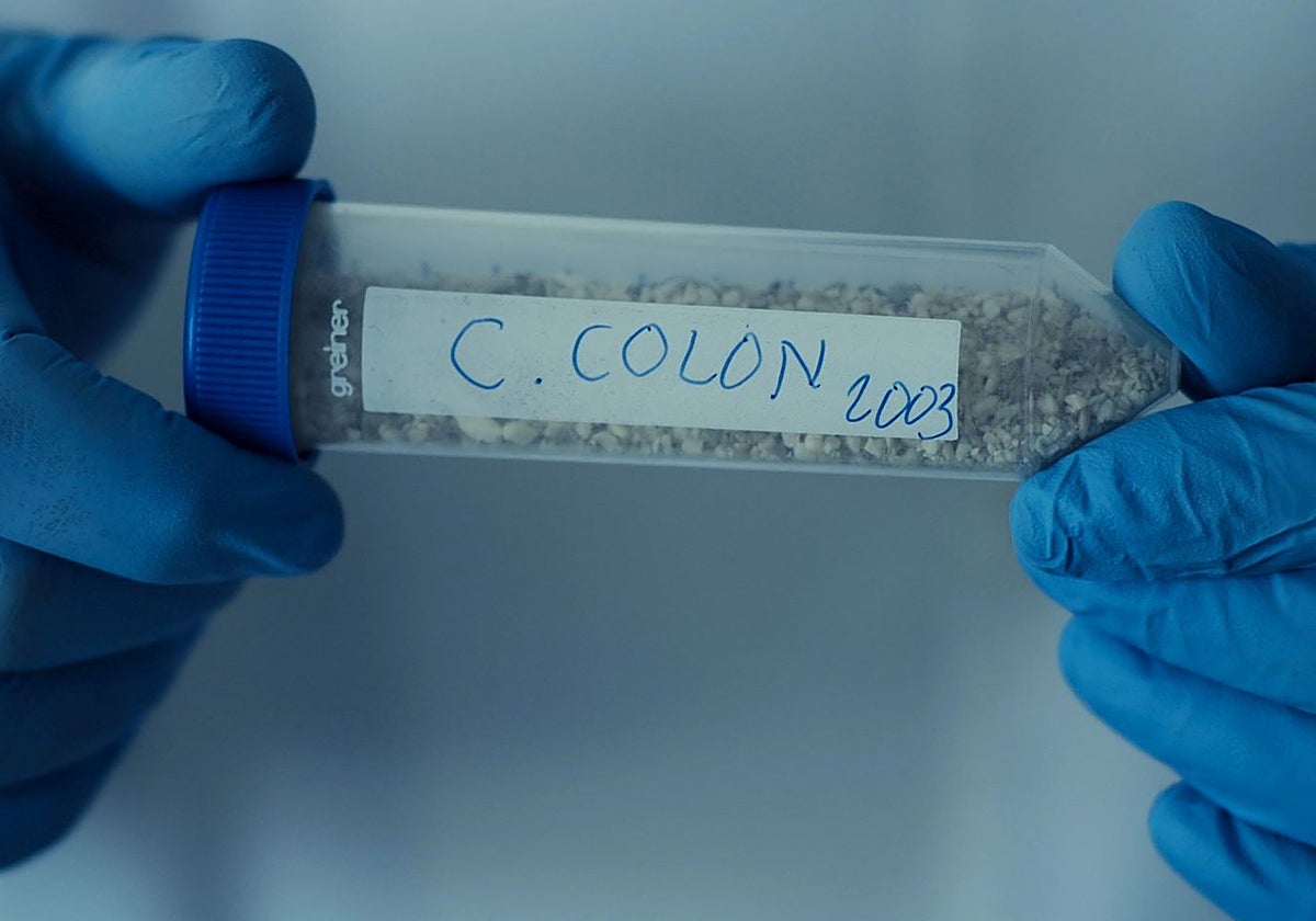 El ADN de Colón apunta a un origen judío sefardí del Mediterráneo ...