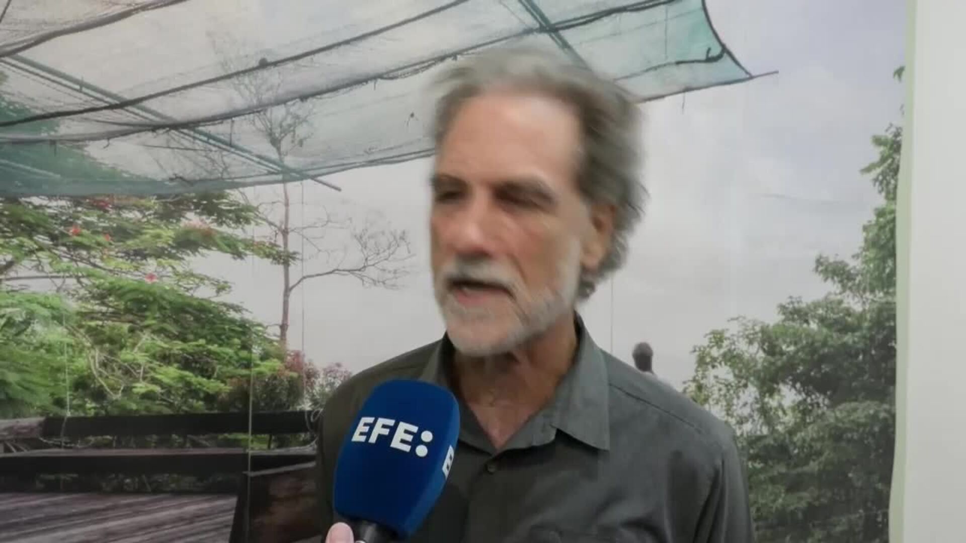 Patrick Dillon: “Desde chiquillo sentí una conexión absoluta con la ...