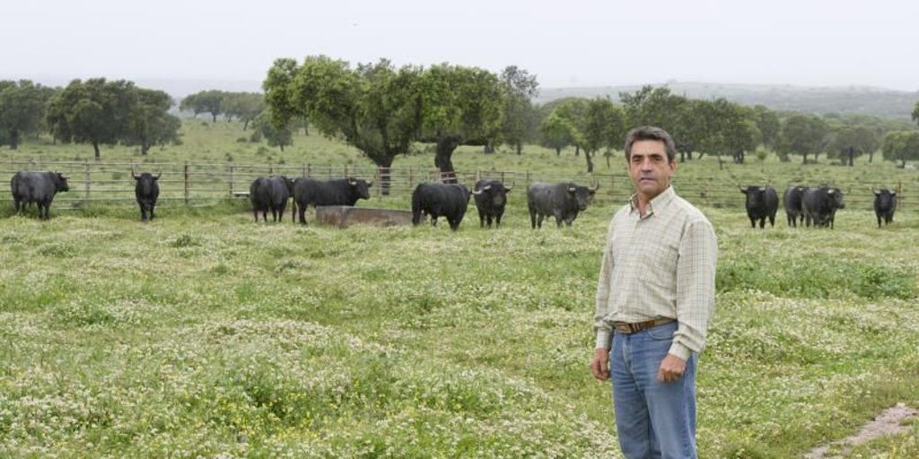 Victorino Martín recoge el 8 de abril el XVI premio Taurino ABC
