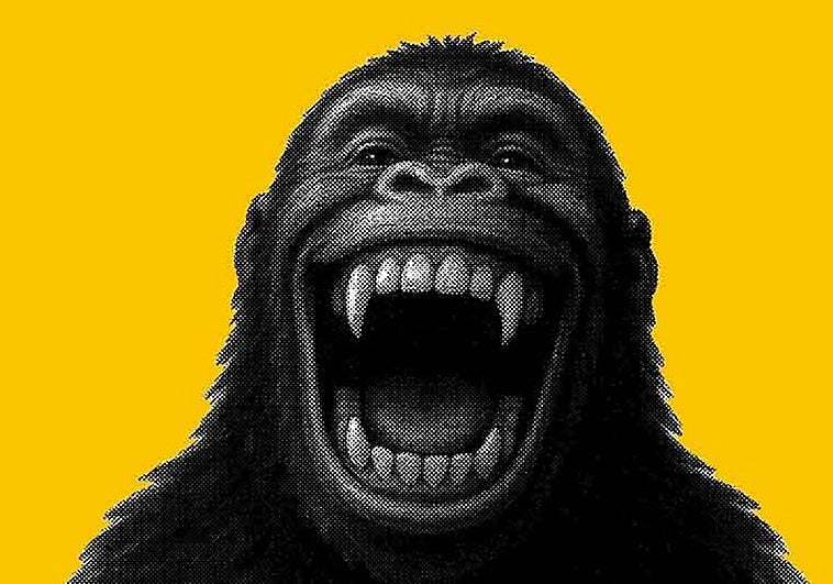 King Kong se encarama al Ja! con un programa que mira a Nueva York