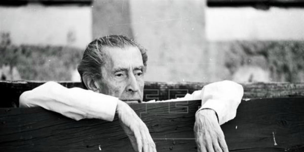 María José Solano: Bergamín, yo te celebro