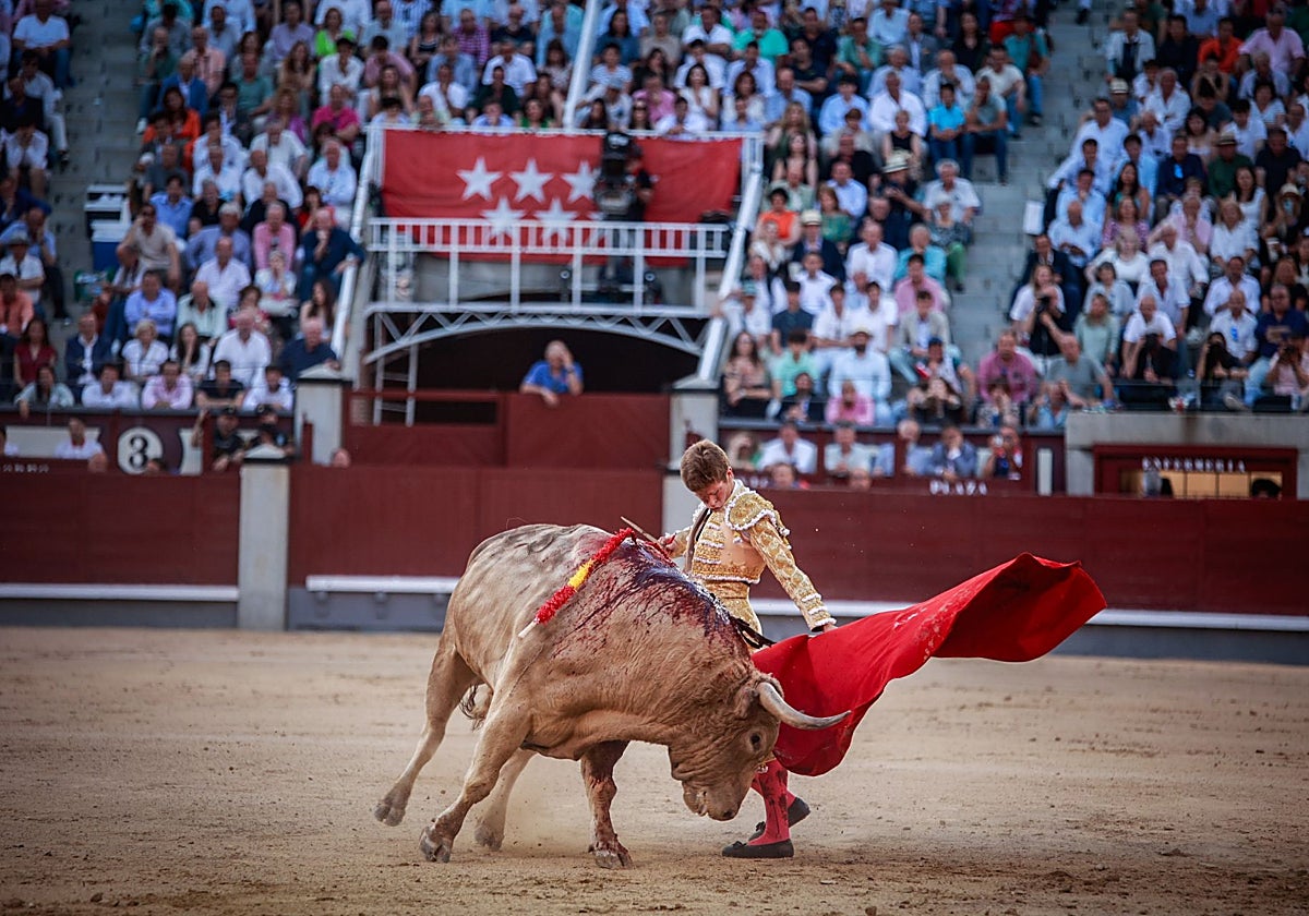El PSOE renuncia a pedir que los toros sean patrimonio cultural ...
