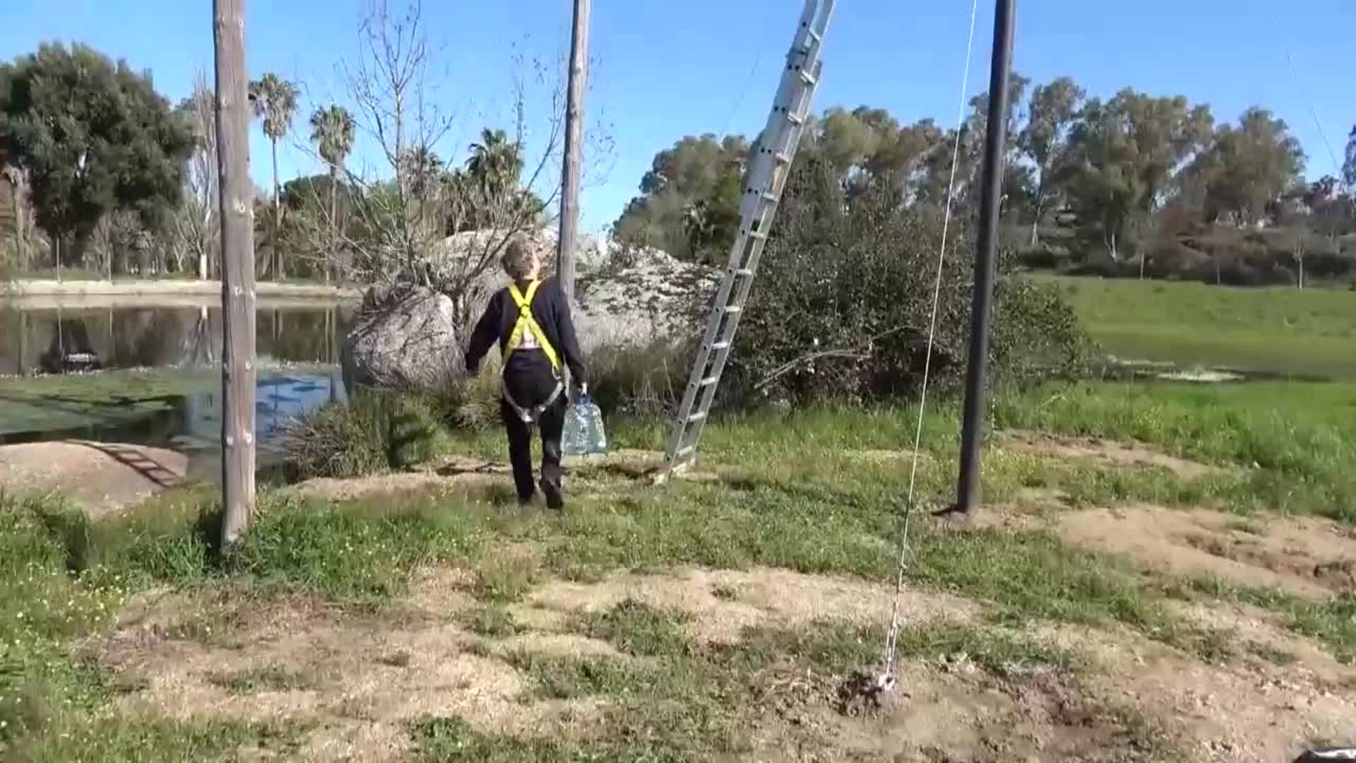 El francés Poincheval "emula" a Simeón El Estilita: siete días y sus ...