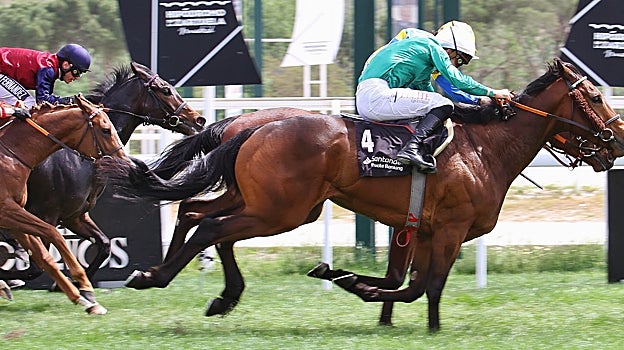 It's Chico Time y Love For Life, brillantísimos vencedores de los ...