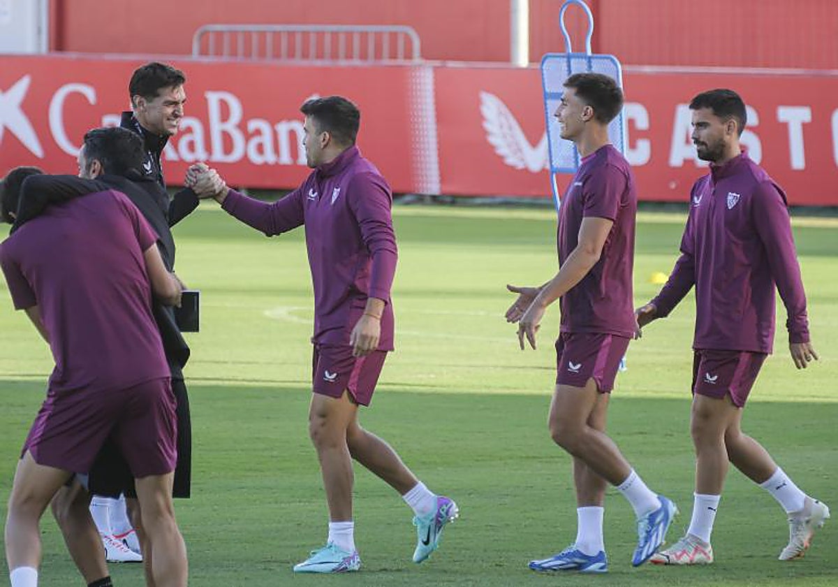 Fernando se cae de la lista ante el Arsenal y entra Gattoni