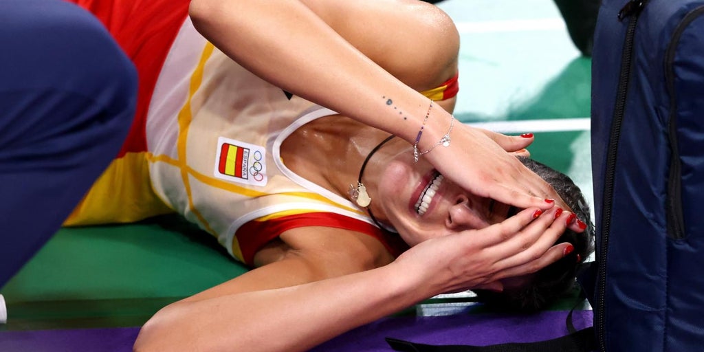 Doctor Ripoll: La silla de ruedas