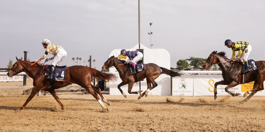 Stellaris dominance in the Seville Maestranza Prize of the Real Club ...