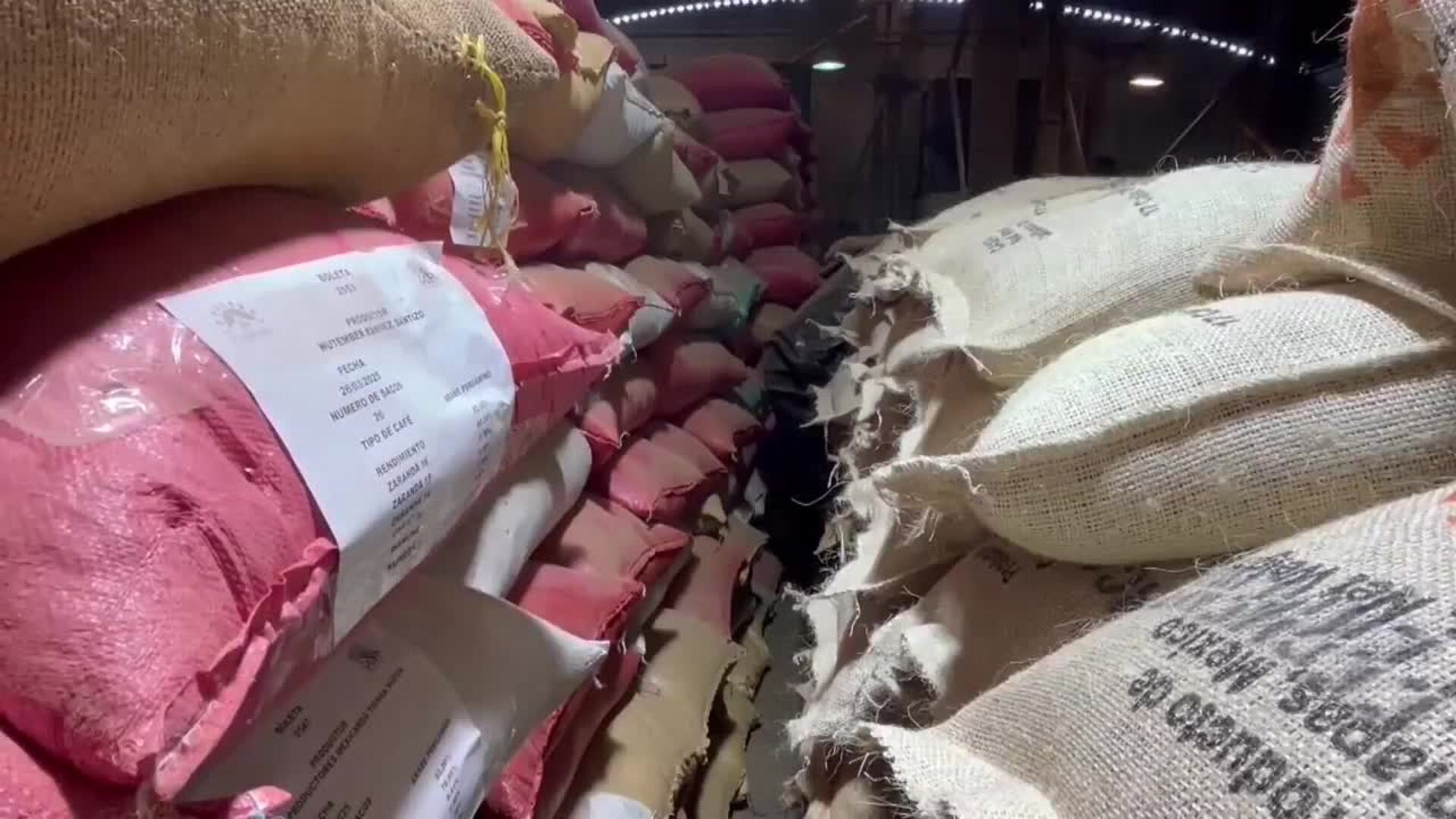 Productores de café y cacao del sur de México piden a EE. UU. que los ...