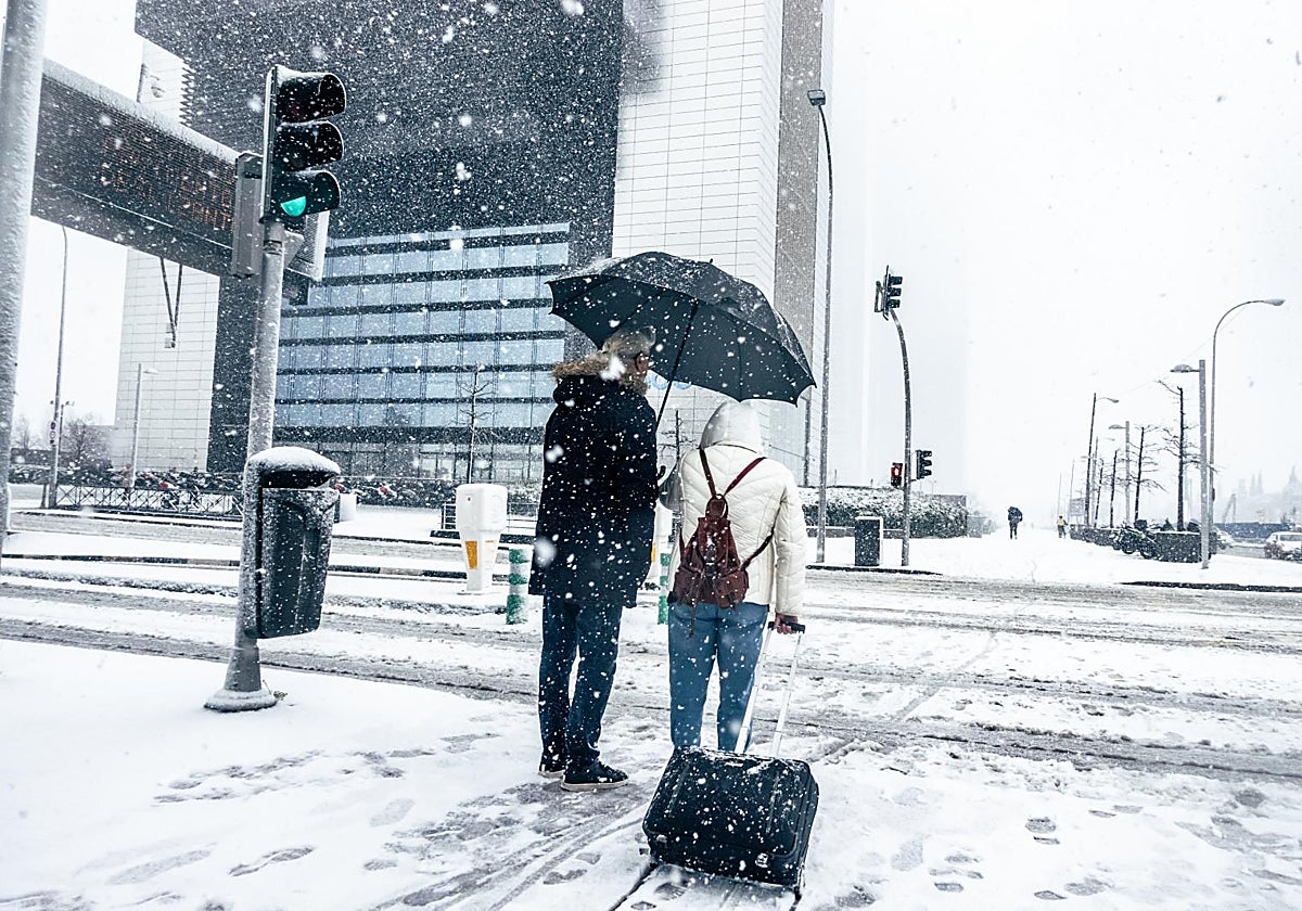 Red Eléctrica activa su 'escudo antiapagón' por el temporal de frío