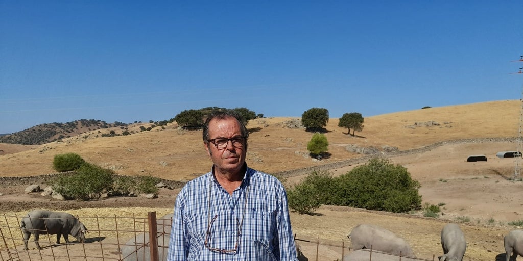 José Manuel Roca, de Asaja Sevilla: «Sacrificamos los animales porque ...