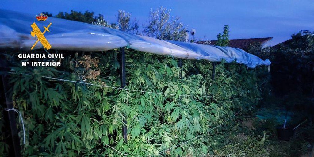 Cuatro detenidos tras la aprehensión de 360 kilos de marihuana en ...