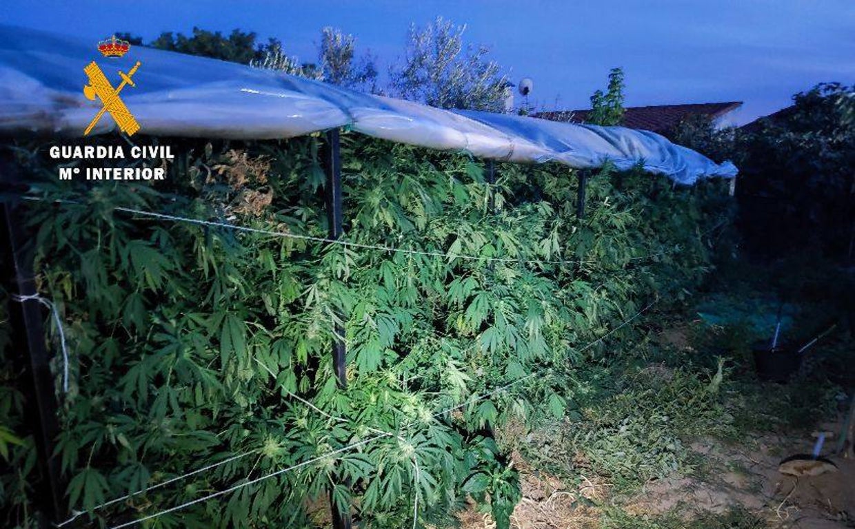 Cuatro detenidos tras la aprehensión de 360 kilos de marihuana en Aldeaseca de la Armuña (Salamanca)