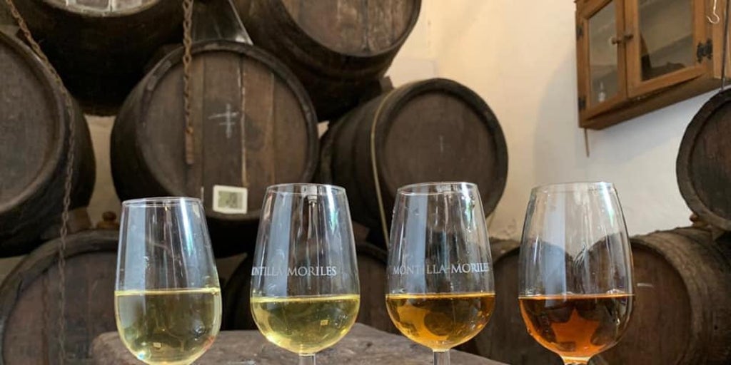 De la uva al vino: cinco lagares con solera y encanto turístico en Córdoba