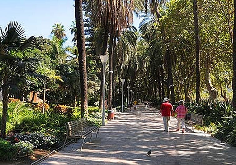 Málaga cierra sus parques por precaución ante el temporal de viento que ...