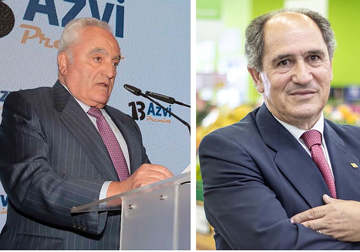 Medallas de Andalucía 2023: Azvi y Grupo MAS, las grandes empresas ...