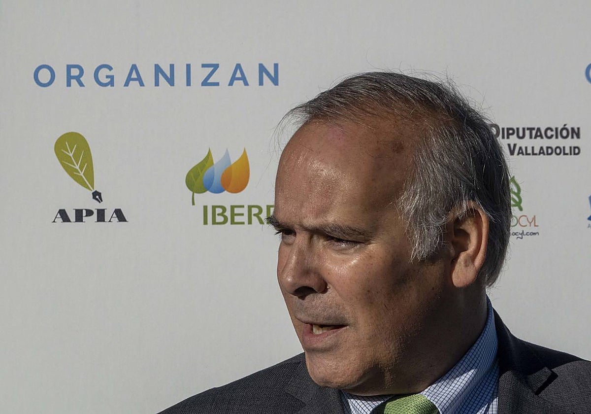 El CEO de Iberdrola España dice que ir contra las energías renovables ...