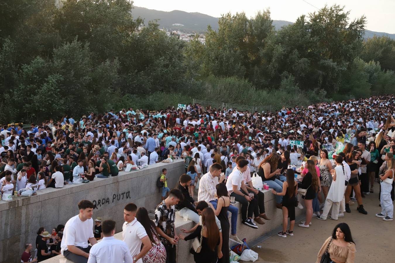 El botellón que todo lo inunda en la Feria de Córdoba, en imágenes