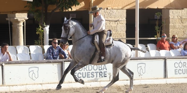 Francisco Poyato: Caballerizas Reales