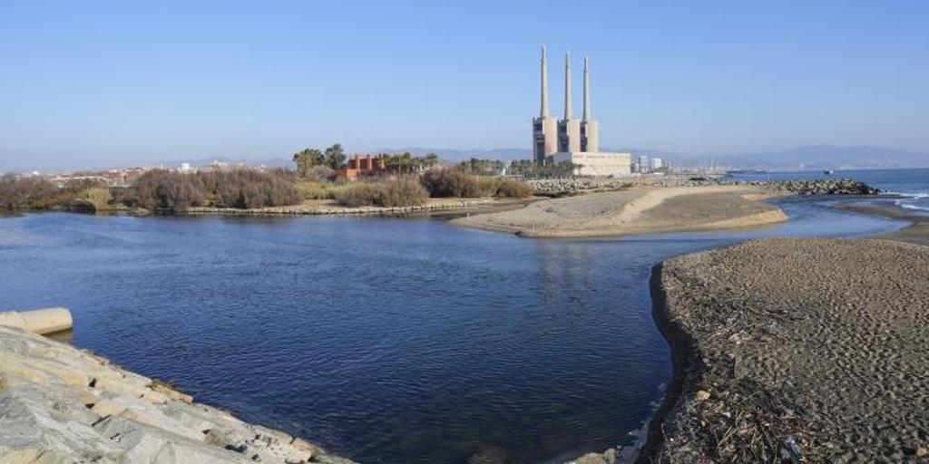 El Govern prevé declarar este jueves la emergencia por sequía en ...