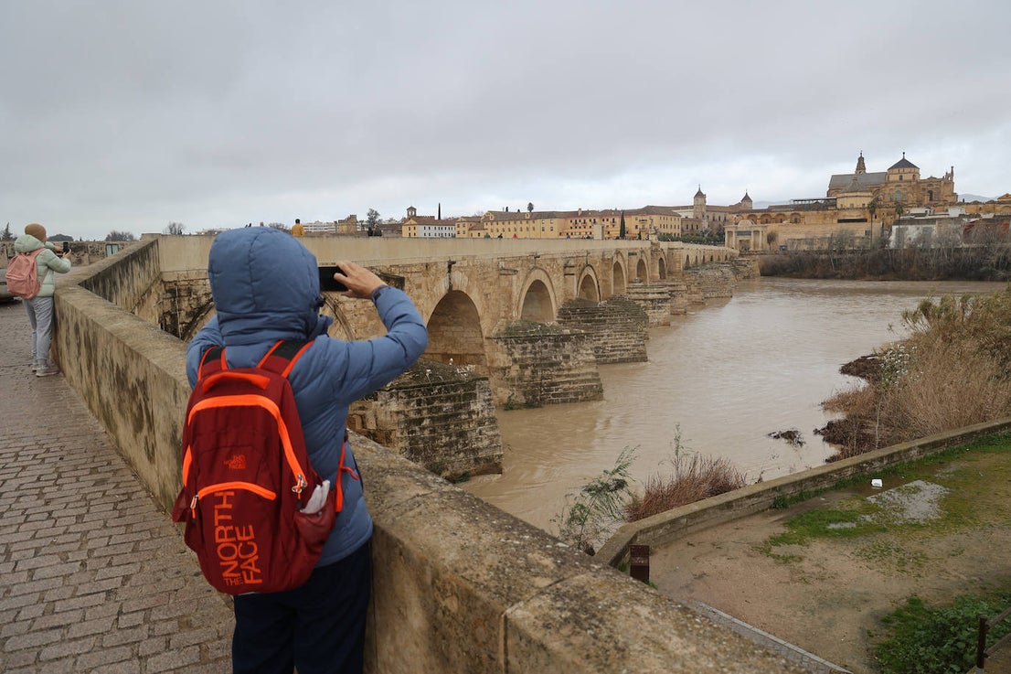 Fotos: el impresionante brío del río del Guadalquivir a su paso por Córdoba