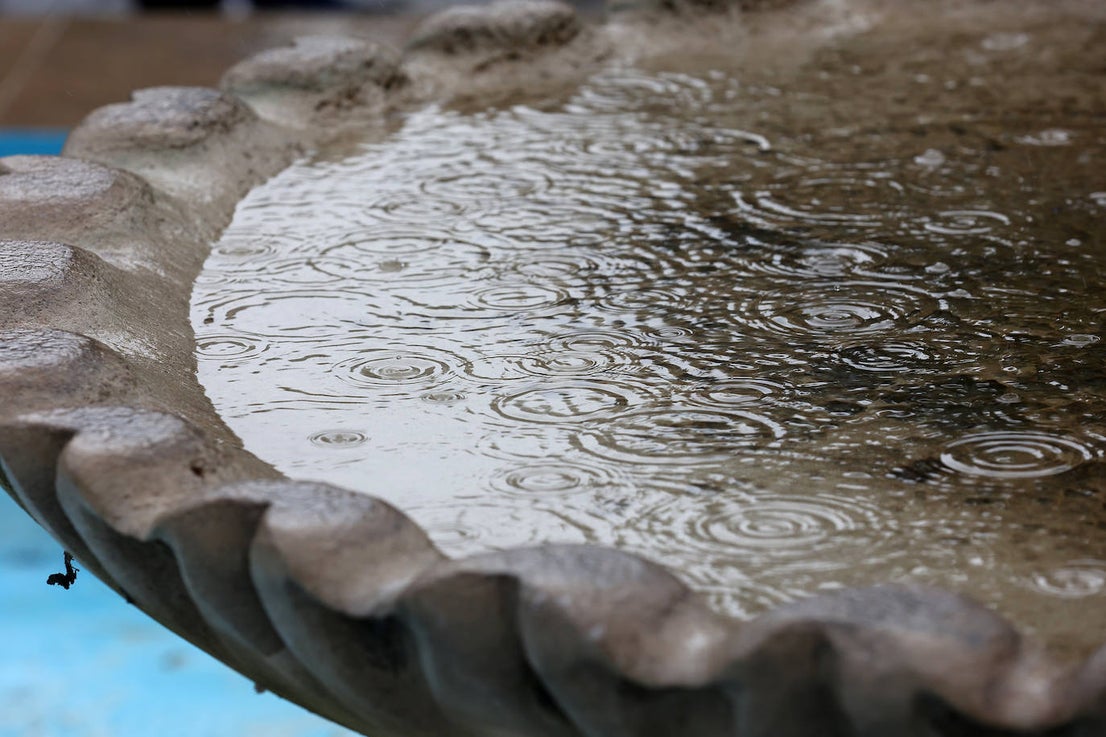 Fotos: el impresionante brío del río del Guadalquivir a su paso por Córdoba