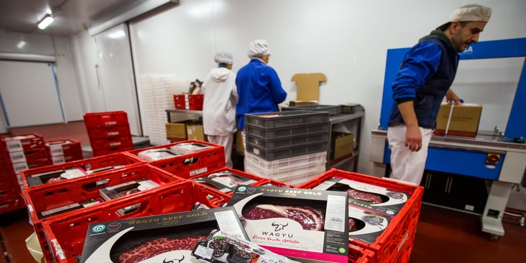 De Burgos a Europa: la carne de wagyu «más premiada» recorre el mundo