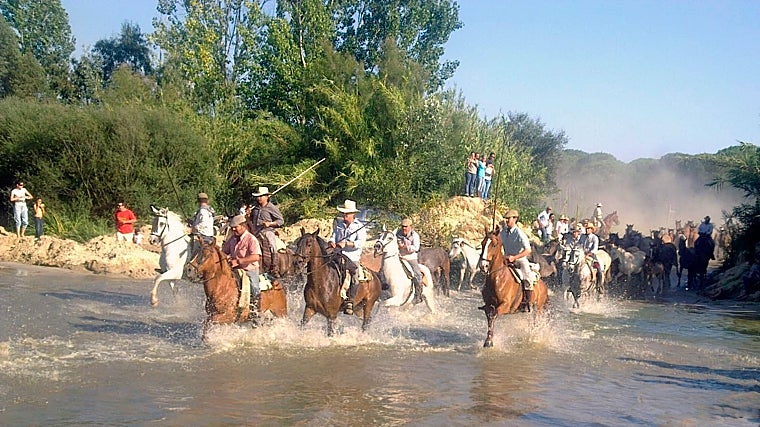 Cómo hacer el camino del Rocío andando: cómo llegar a la aldea