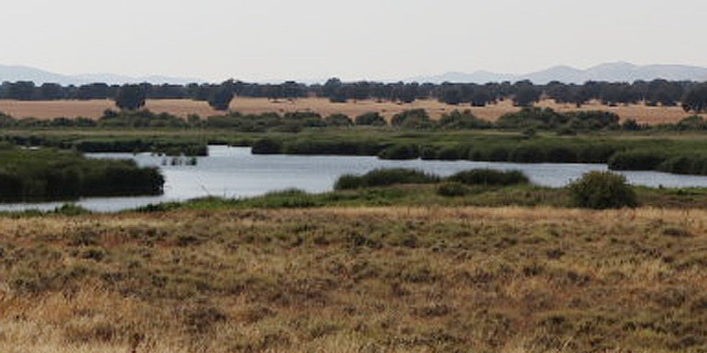Asaja lamenta que la CHG decline trasvasar agua del Cigüela a las ...