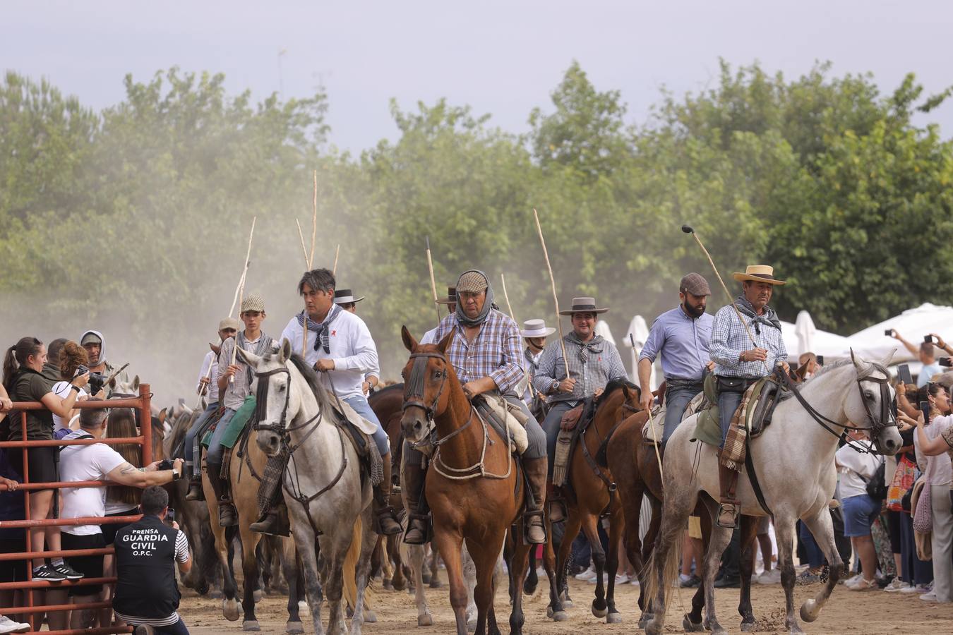 Las imágenes de la tradicional Saca de las Yeguas de Almonte